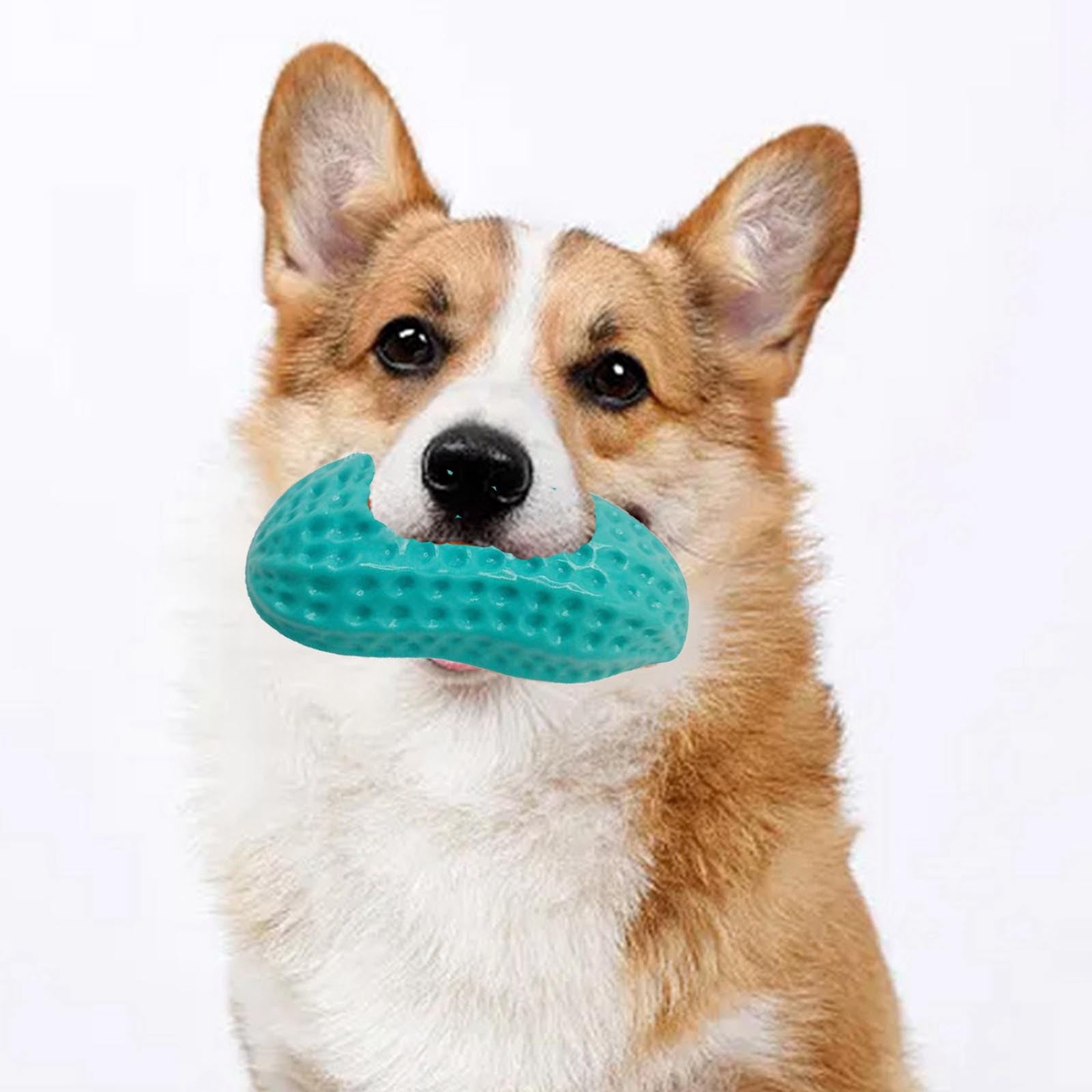 Click here for Hhsfuzhuangggg Dog Tpr Resistance Teeth Grinding I... prices