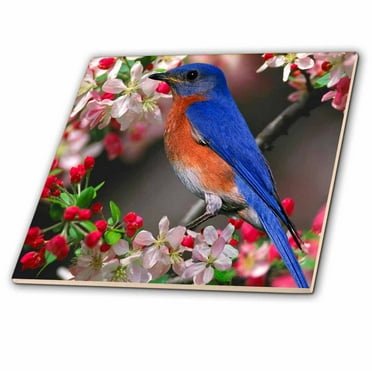 3dRose Pale Pink - Ceramic Tile, 12-inch - Walmart.com