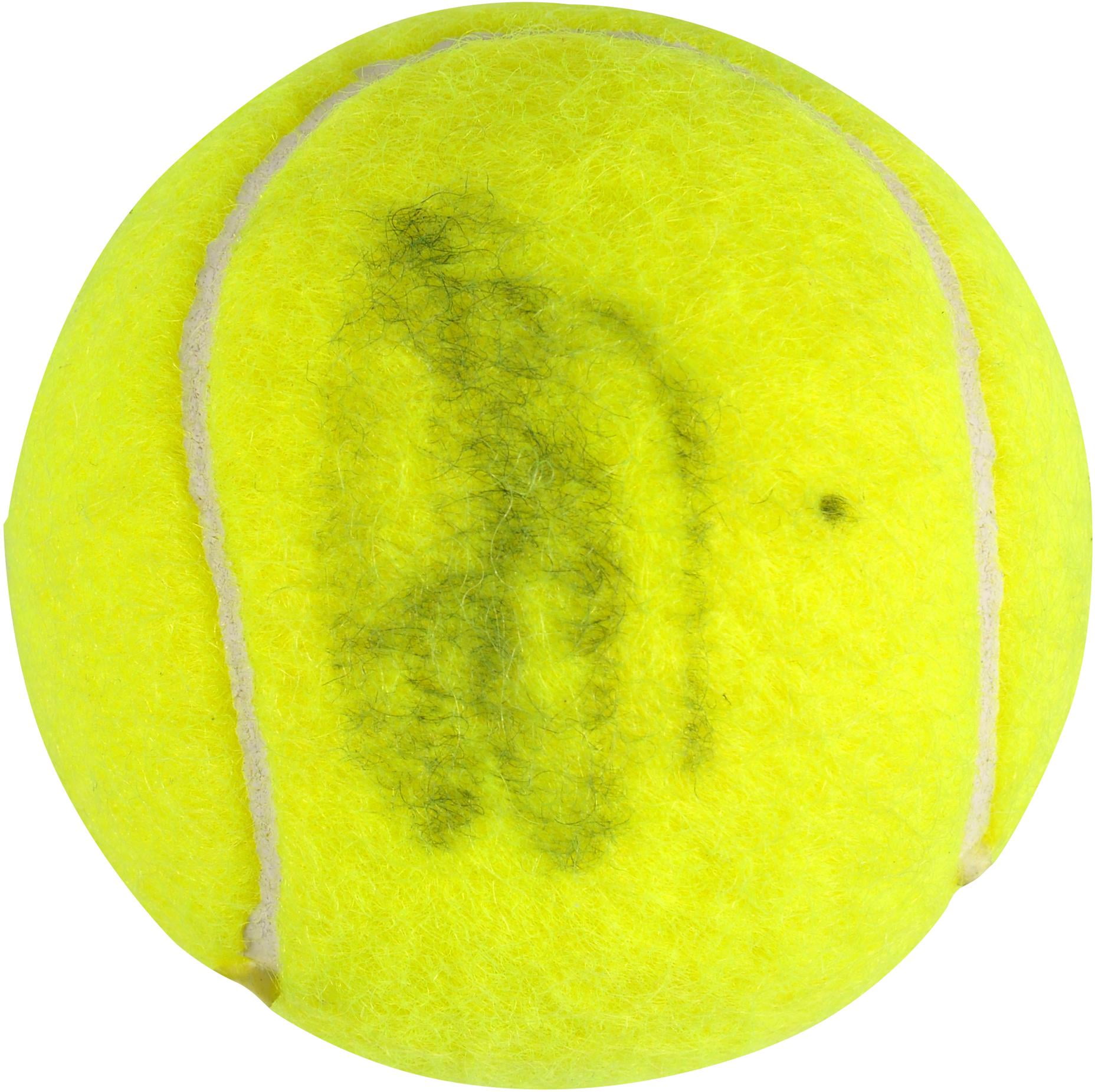Andy Roddick Autographed Wimbledon Logo Tennis Ball - Fanatics ...