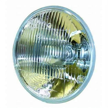 Hella 2425831 Headlight Conversion Lamp - Walmart.com