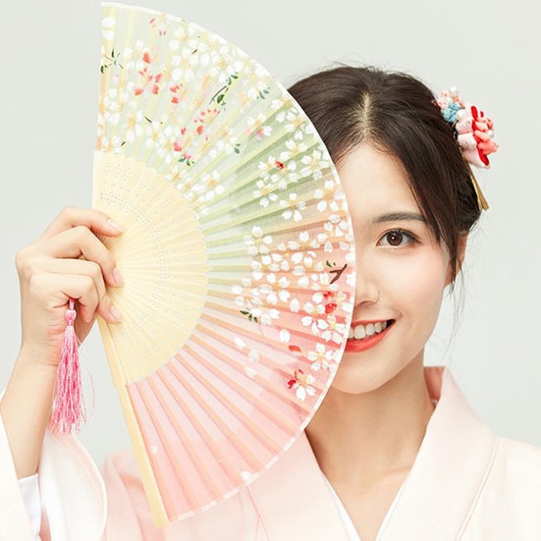 Japanese Fan Sketch
