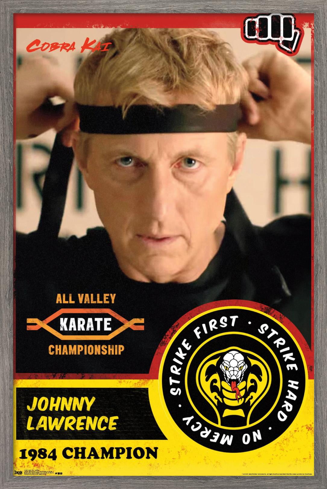 Cobra Kai - Johnny Wall Poster, 22.375" x 34", Framed - Walmart.com