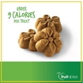 Fruitables All Natural 7 Ounce Vegetarian Pumpkin Baked Crunchy Dog ...