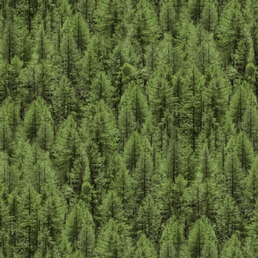 Windham Fabrics Landscapes Wood Eye Multicolor 100% Cotton Sold by The ...