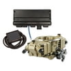 Holley EFI 550-444 Fuel Injection System - Walmart.com