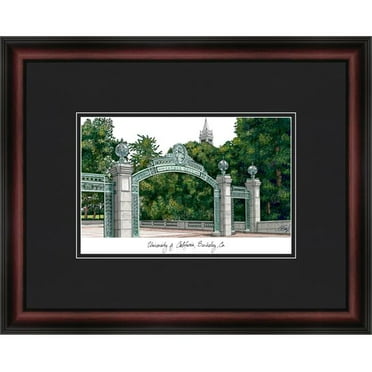 University of California, Berkeley 8.5" x 11" Diplomate Diploma Frame ...