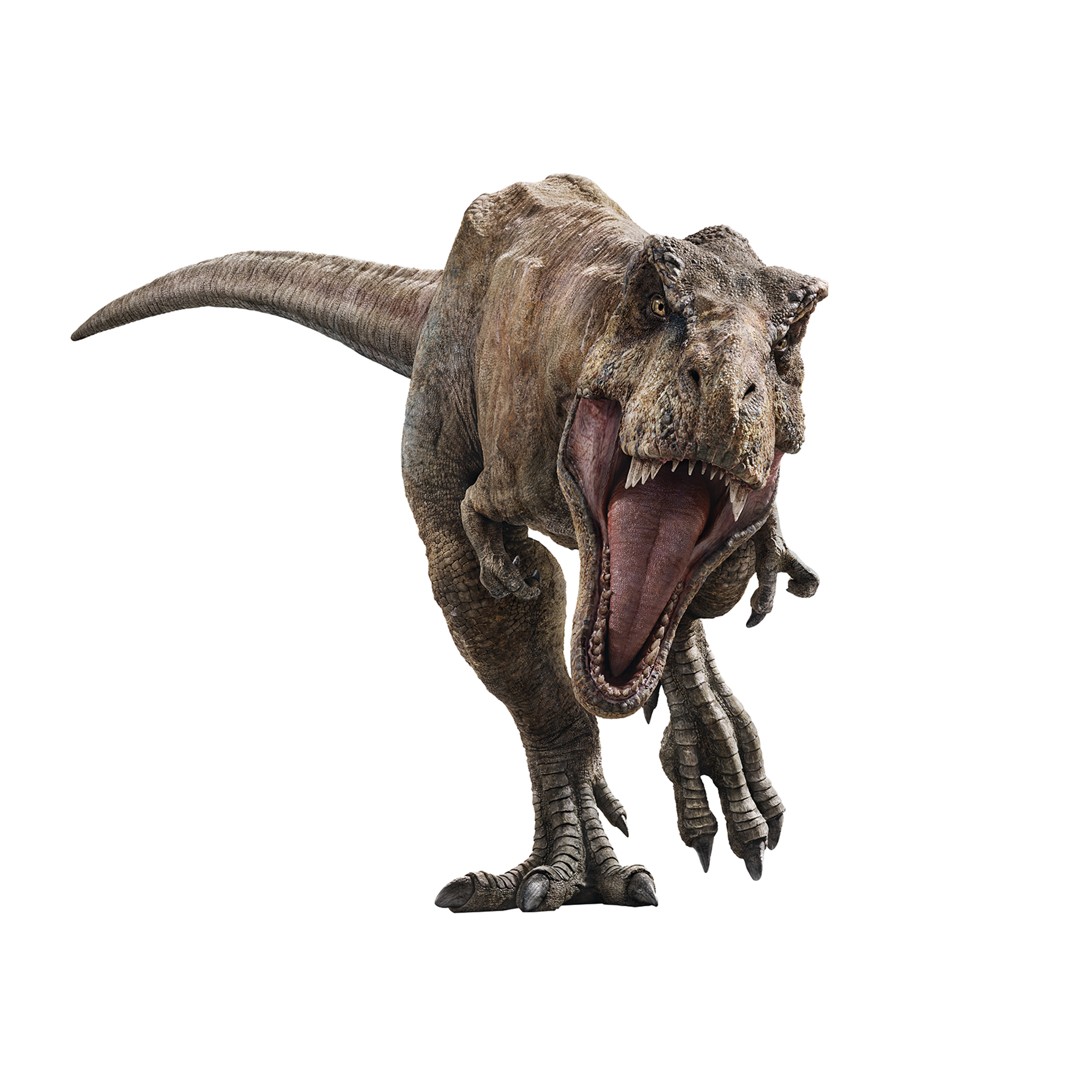 Jurassic World: T-Rex Extra Large Peel and Stick Wall Decals, 37.85 in ...