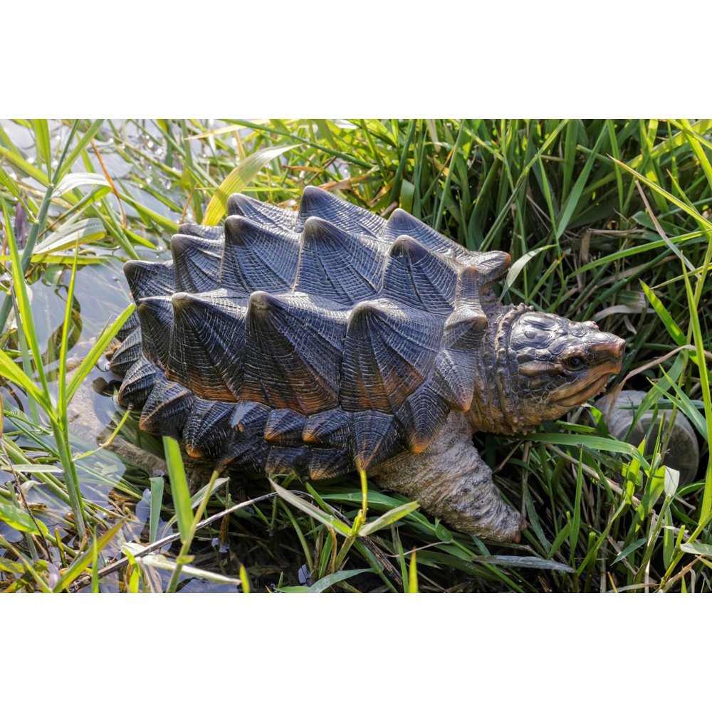 SNAPPING TURTLE STATUE - Walmart.com - Walmart.com