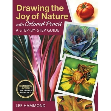 Beginner Drawing Books: How to Draw : 53 Step-by-Step Drawing Projects ...