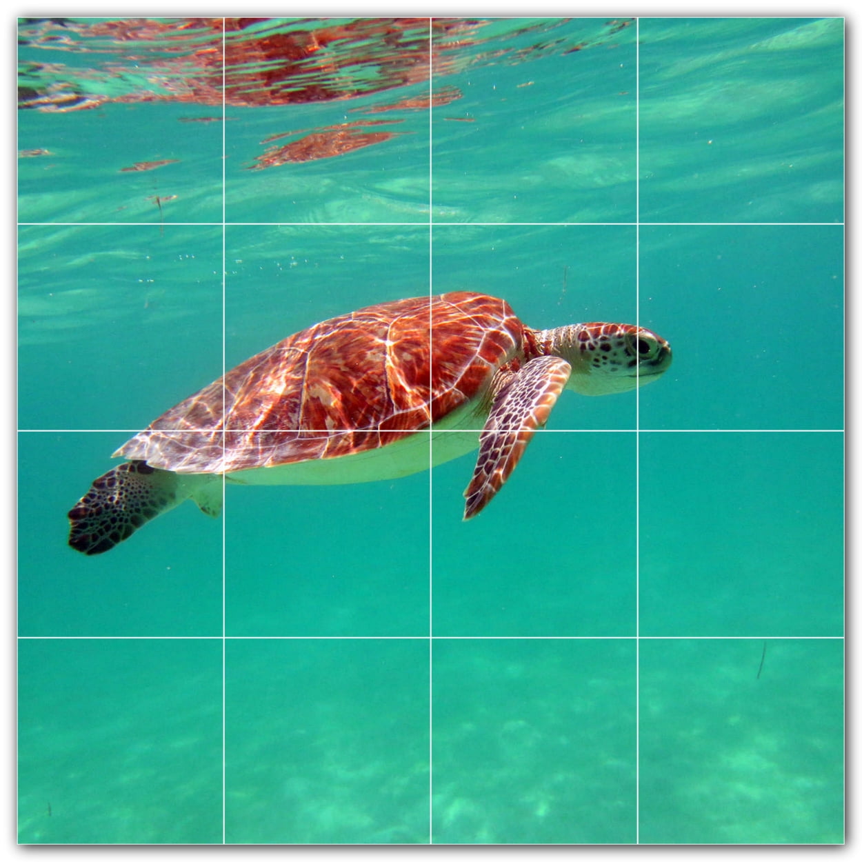Picture-Tiles.com: Turtle Ceramic Tile Wall Mural WAL501061-44XL. 48"W ...