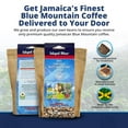 Island Blue - 100% Jamaican Blue Mountain Medium Roasted Ground Coffee ...
