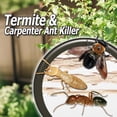 Bonide Termite and Carpenter Ant Killer, Ready to Use Insecticide, 1 ...