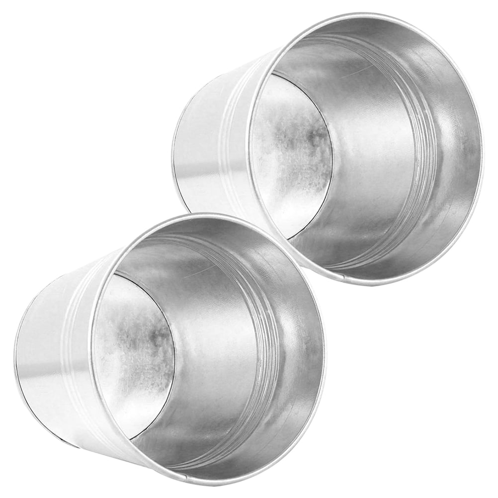 Click here for Minkissy 2pcs Modern Metal Flower Pot For Home Dec... prices