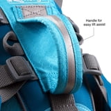 Kurgo Baxter Dog Backpack, Dog Saddlebag, Dog Pack, Adjustable ...