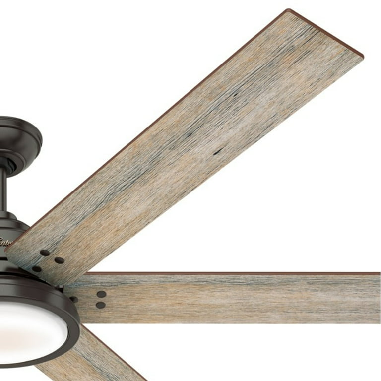 Hunter Castleton 70 Inch Ceiling Fan | Shelly Lighting