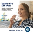 Inline Water Filter, Membrane Solutions 1/4" Quick-Connect Replacement ...