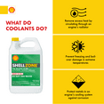 Shellzone Antifreeze and Engine Coolant, 50/50 Pre-Diluted, 1 Gallon ...