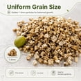 NOGIS 1.9QT Premium Grade Horticultural Vermiculite,Professional Fine ...