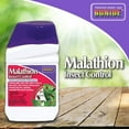 Bonide Malathion Insect Control, 16 oz Ready-to-Mix Concentrate Bug ...