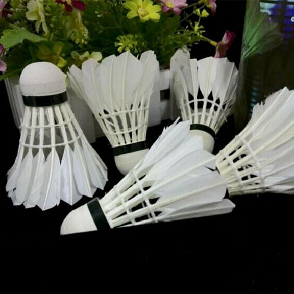 Willstar 12 PCS Badmintons Duck and Goose Feather Cock and Foam Head ...