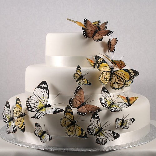 beautiful butterfly cake sets - natural elegance - Walmart.com ...
