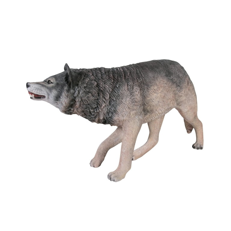 Gray Wolf Growling