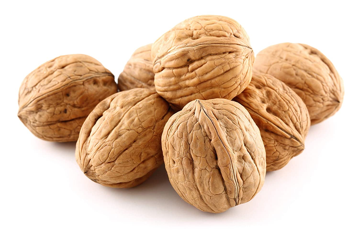 Anna and Sarah Walnuts in Shell, Jumbo, Fresh, Buttery Taste, Easy to ...
