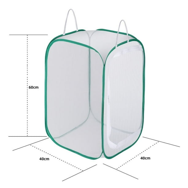 Housing Enclosure Foldable Cocoon Silkworm Hatch Grasshopper Habitat ...