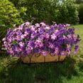 Artificial Petunia Silk Flowers 10 Purple, 10 Gradient Fuchsia with ...
