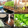 VIVOSUN Nutrients Base A & B Bundle, Liquid Fertilizer Supports ...