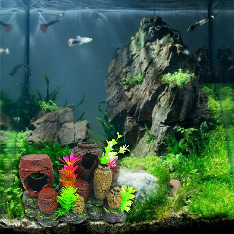Archer Fish Tank