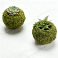 Natural Weave Moss Planter,2 Pack 3.5inch Moss Ball Flower Pot,Natural ...