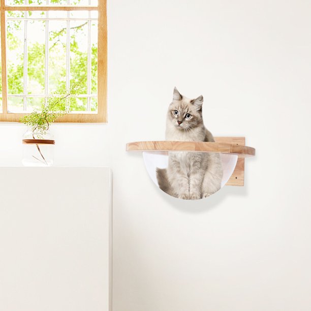 DENEST Cat Capsule Wall Mounted Bed Transparent Space Capsule Shelf ...