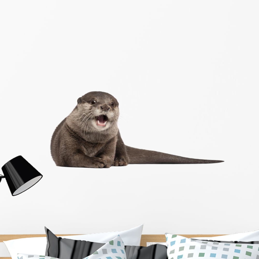 Oriental Small-clawed Otter Wall Decal Wallmonkeys Peel and Stick ...