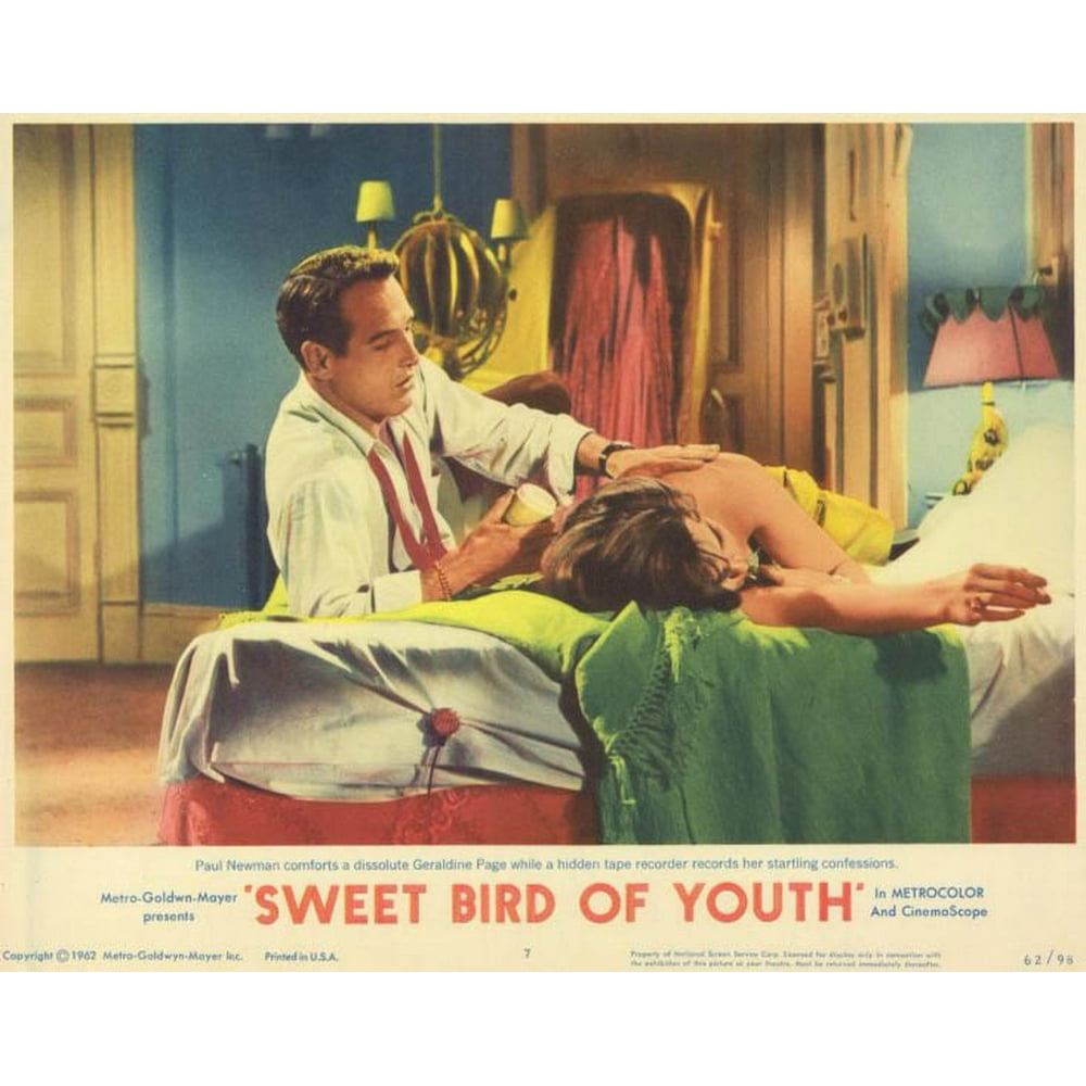 Sweet Bird of Youth - movie POSTER (Style G) (11" x 14") (1962 ...