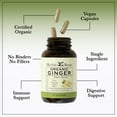 Herbal Roots Organic Ginger Root Capsules, 1,200 mg, Digestive Aid ...