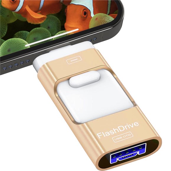 1 Terabyte Flash Drive