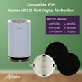 "Hunter HP125 Replacement Filter, True HEPA and EcoSilver Pre-Filter, 6 ...