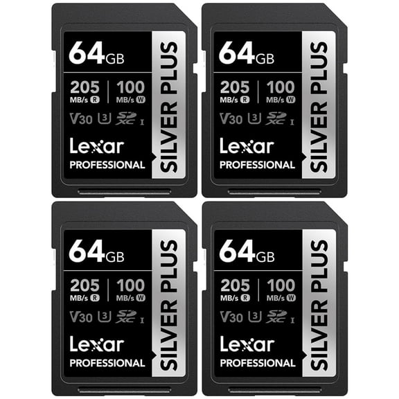 Kodak 128GB SDXC UHS-I U3 V30 Memory Card Bundle, 4K Video, DSLR, High ...