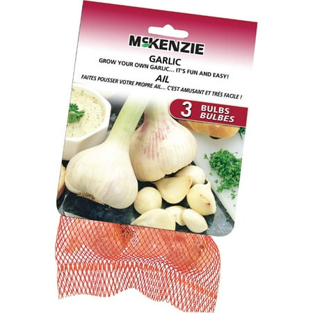 3 Pack Garlic Bulbs - Walmart.ca
