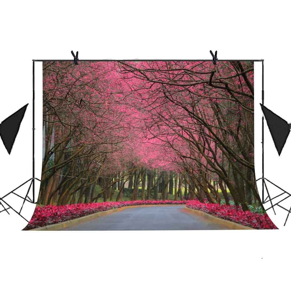 Natural Scenery Backdrop 7x5ft Cherry Blossom Park Picture For Photo ...