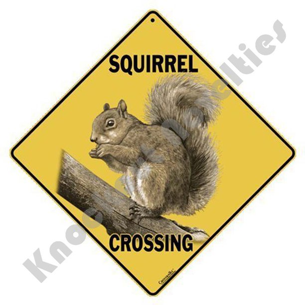 Squirrel Crossing - Sign - Walmart.com