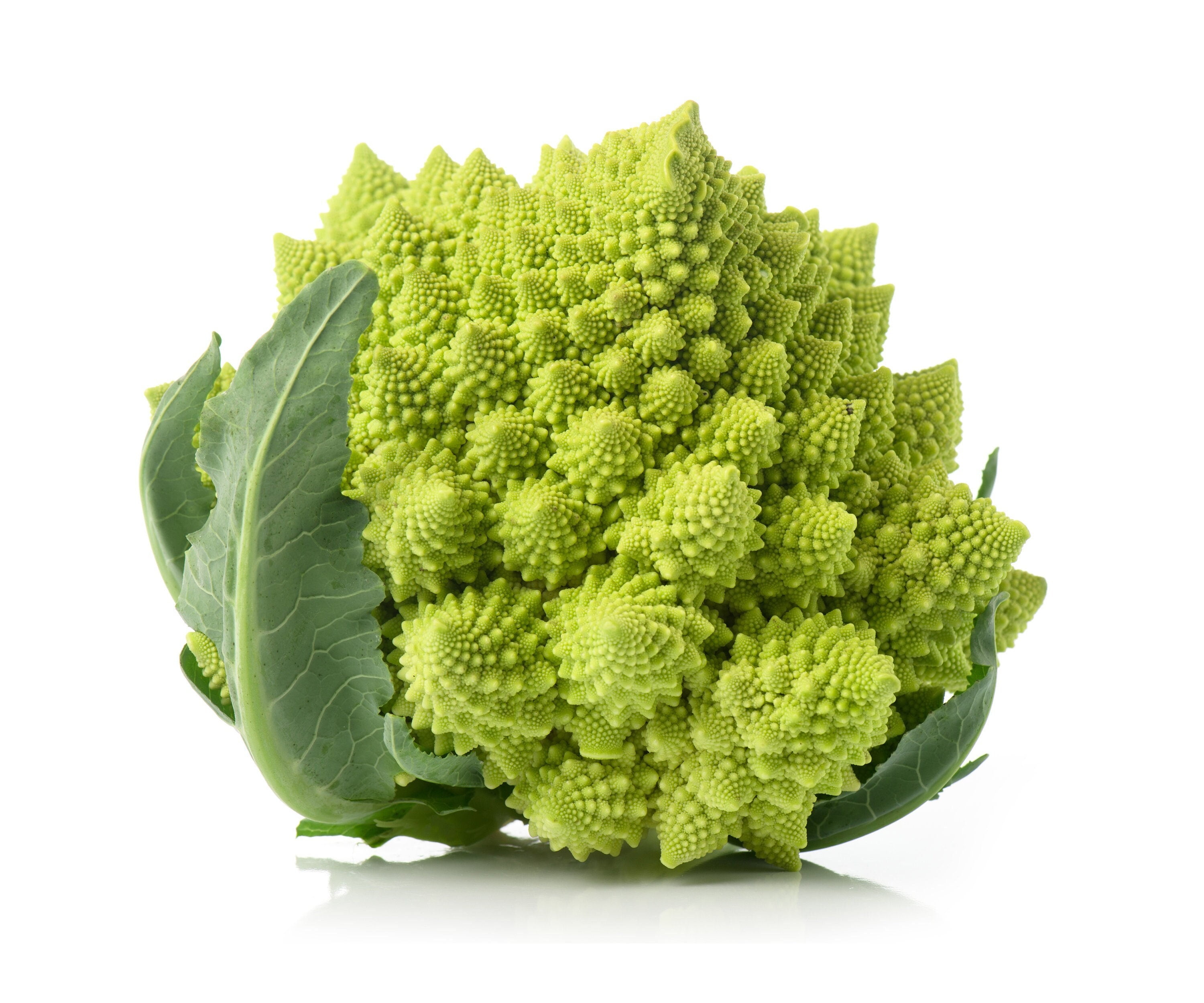 Green Fractals Romanesco Cauliflower Broccoli Premium Seeds Packet ...