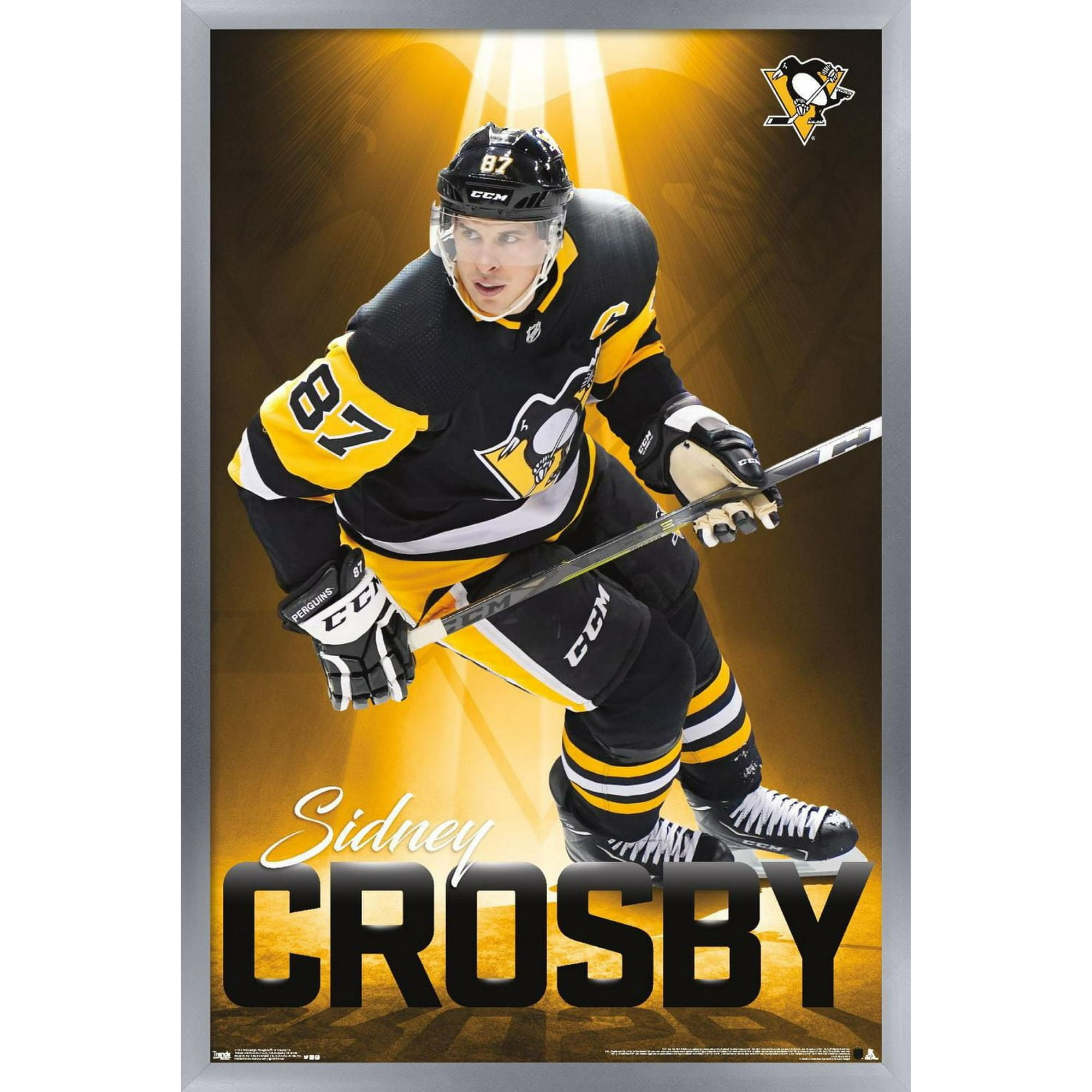 Click here for Trends International Nhl Pittsburgh Penguins - Sid... prices
