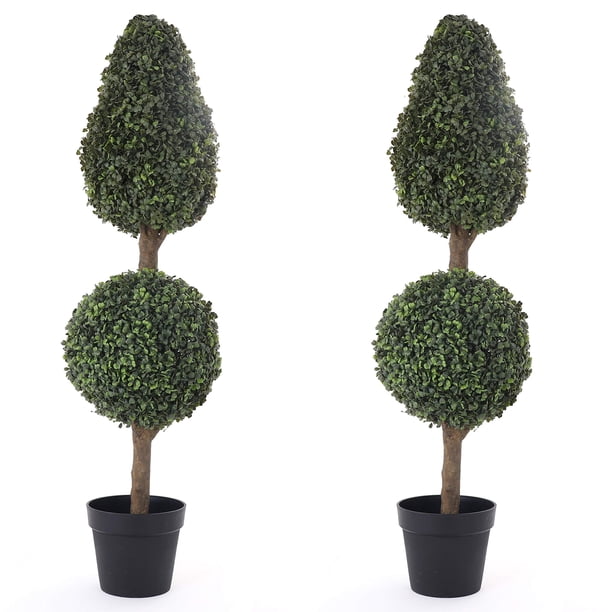 Eugenia Topiary