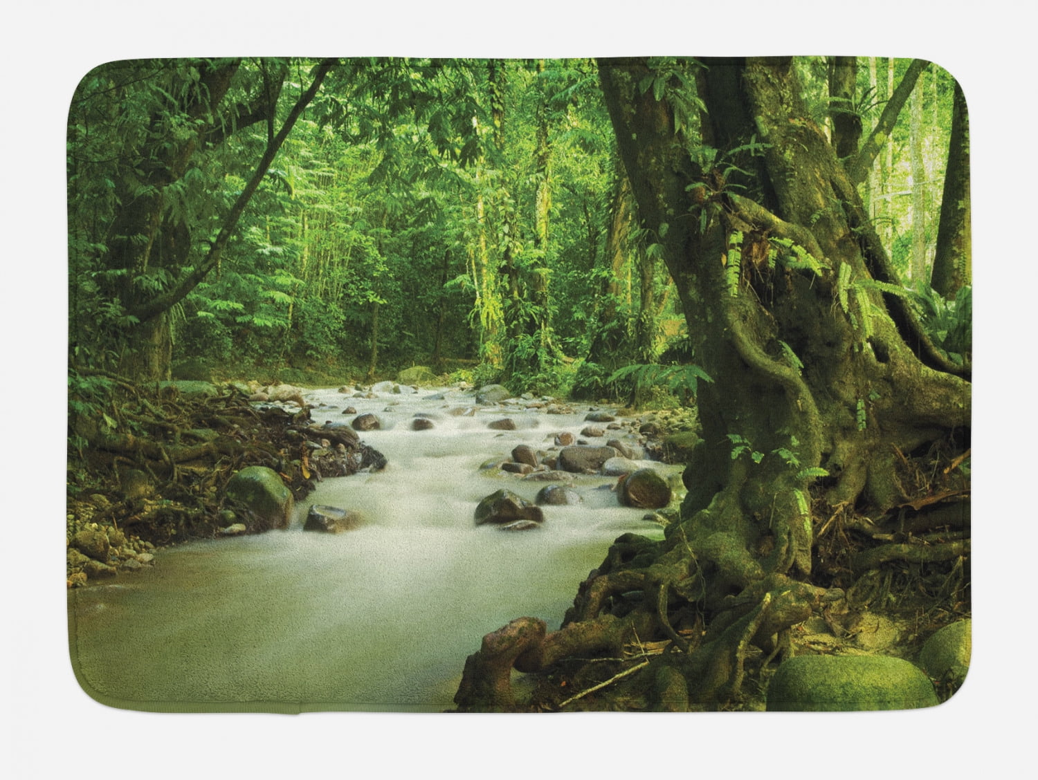 Rainforest Bath Mat, Tropical Rainforest and Rocky River in Selangor ...