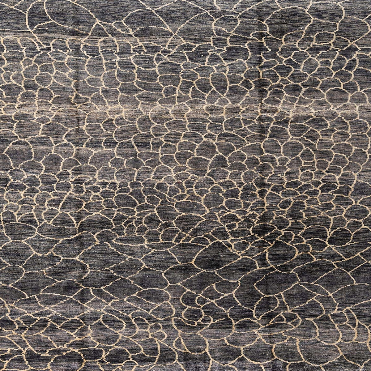 Ahgly Company Indoor Square Abstract Black Abstract Area Rugs, 6 ...