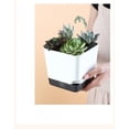 CaraMart Plastic Self Watering Succulent Containers Contemporary Style ...