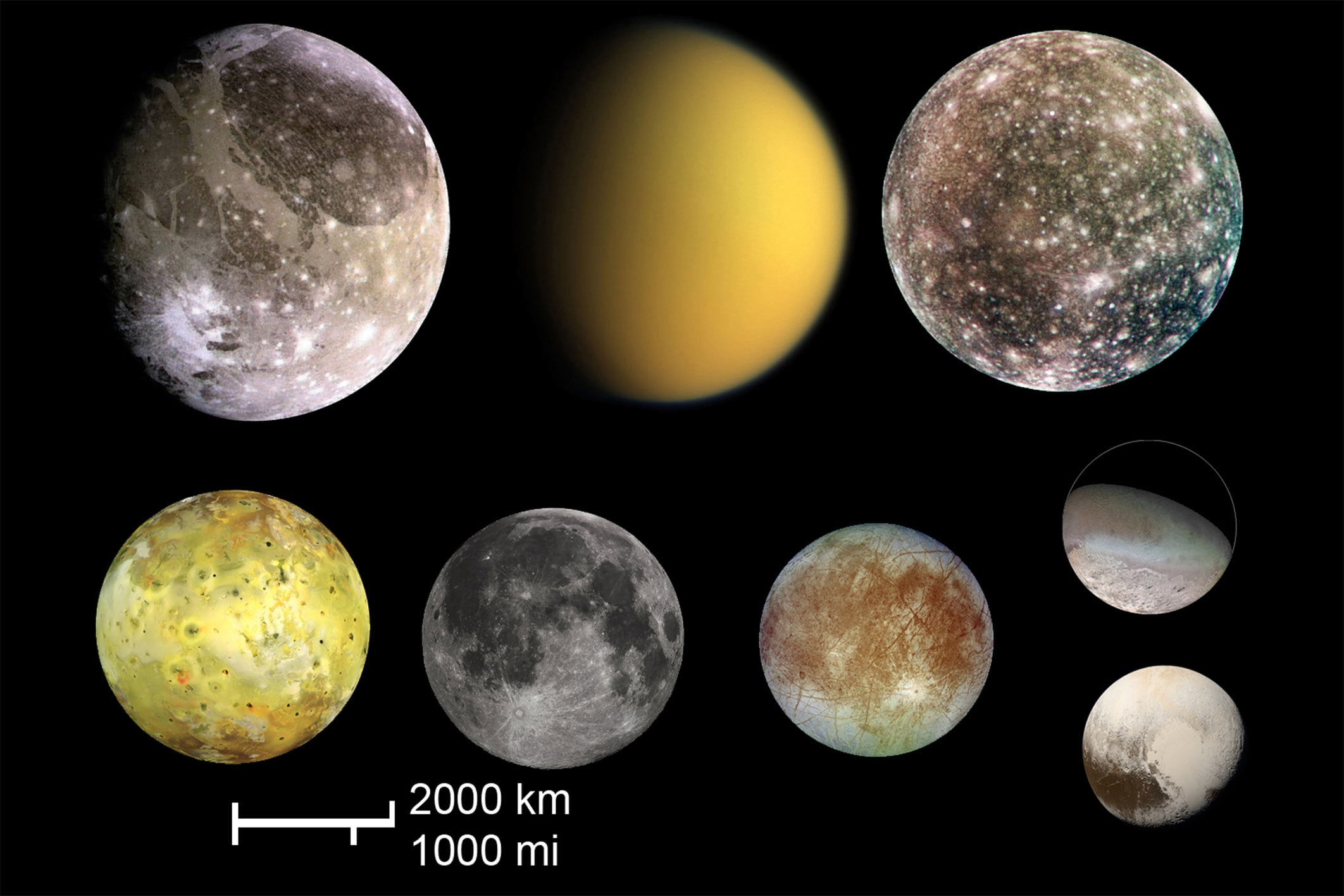 24x36 gallery poster, Pluto (bottom right) compared to largest ...