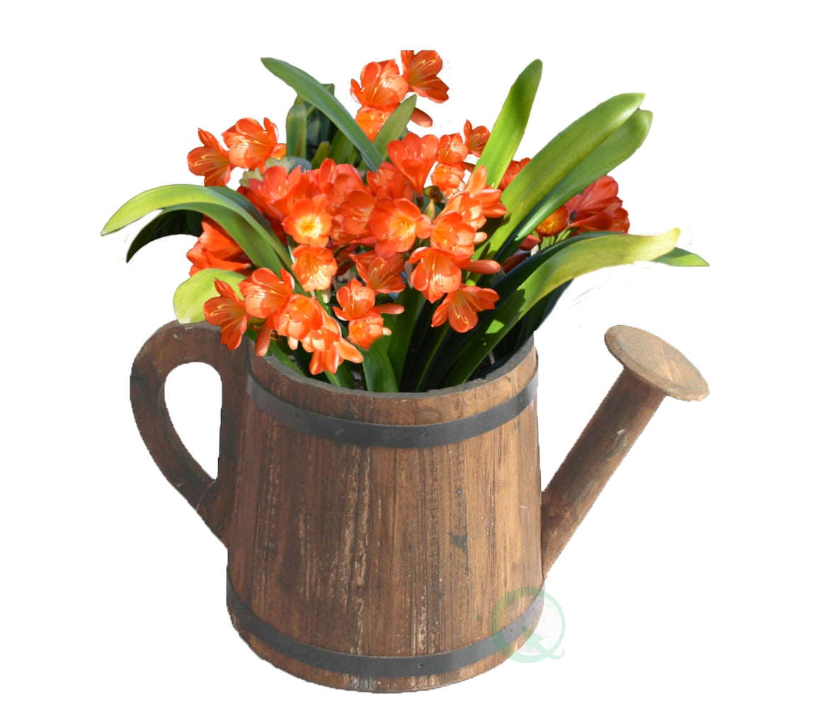 Watering Pail Planter - Walmart.com